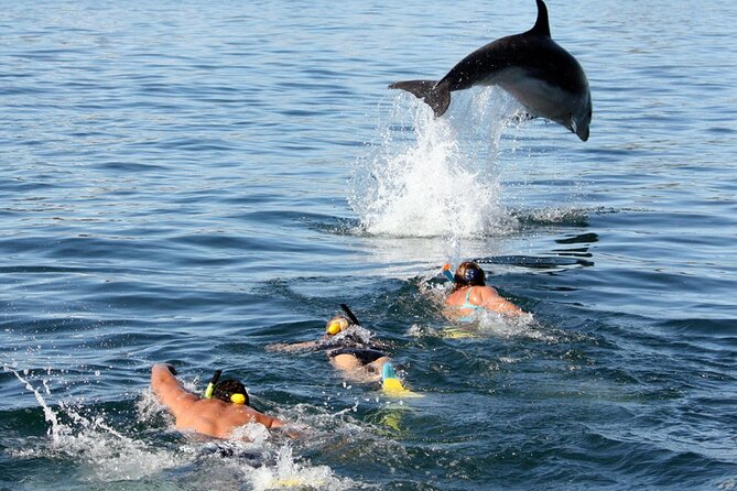 Side Dolphin Island Boat Trip With Lunch And Hotel Transfer