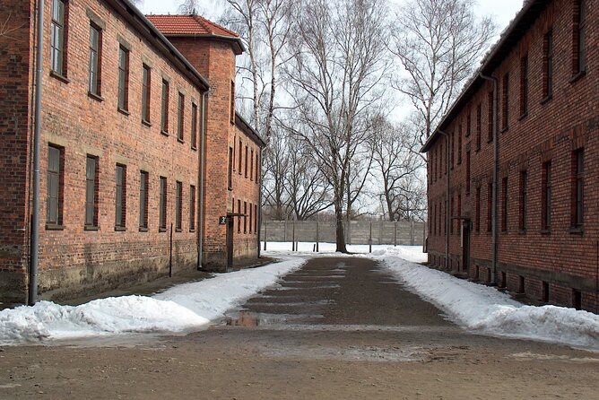 Small Group Auschwitz-Birkenau Guided Tour from Krakow ABTA - Introduction: A Thoughtful Journey Through a Dark Past