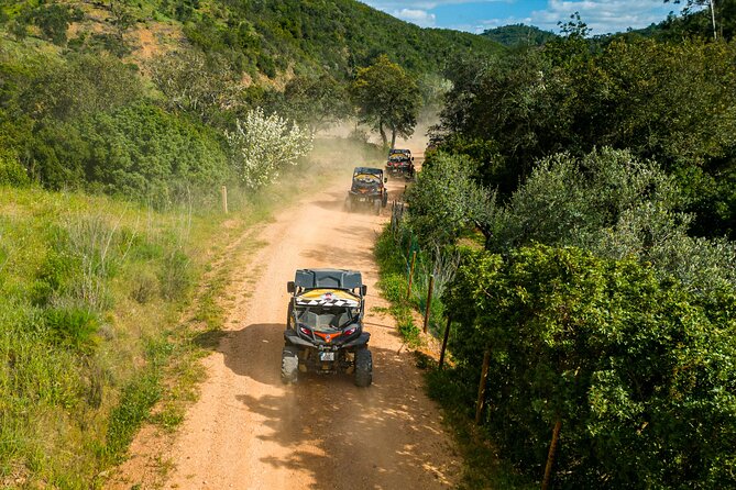 Small-Group Buggy Riding Safari in Algarve - What to Expect from the Algarve Buggy Safari