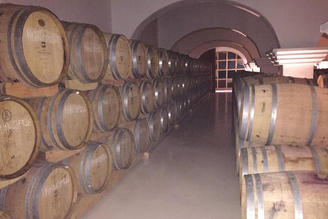 Small group Day Trip to Evora and Monsaraz from Lisbon with wine tasting - An In-Depth Look at the Itinerary