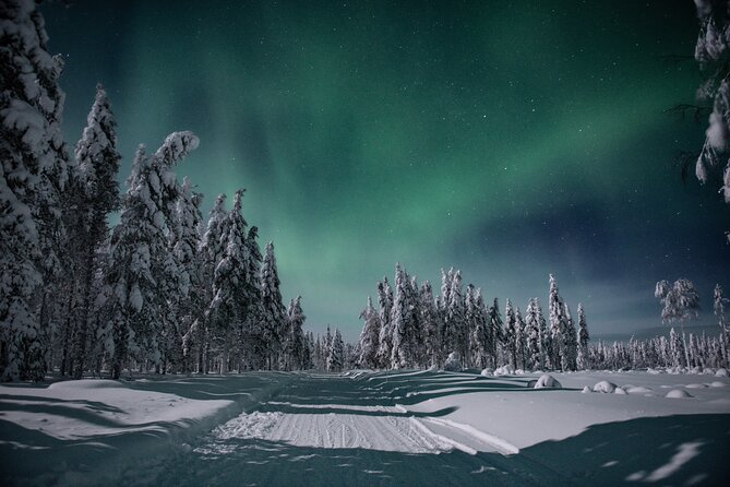 Small Group Northern Lights Hunting with BBQ and visiting Cabin - An In-Depth Look at the Northern Lights Hunting Tour