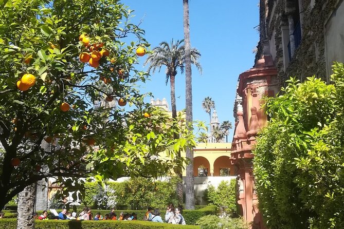 Small Group Tour of the Royal Alcazar of Seville - Introduction: Why This Tour is Worth Considering