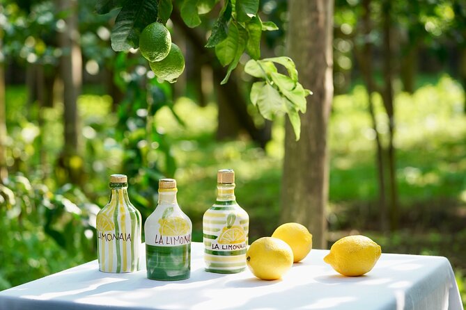 Sorrento Lemon Grove Experience with Local Product Tasting - Overview of the Tour Experience