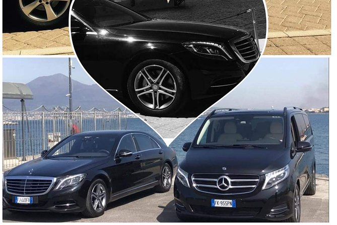 Sorrento, Positano & Amalfi - Private Tour - Who Should Book This Tour?