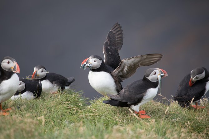 South Coast / guided private tour - The Itinerary Breakdown: What You’ll See and Experience