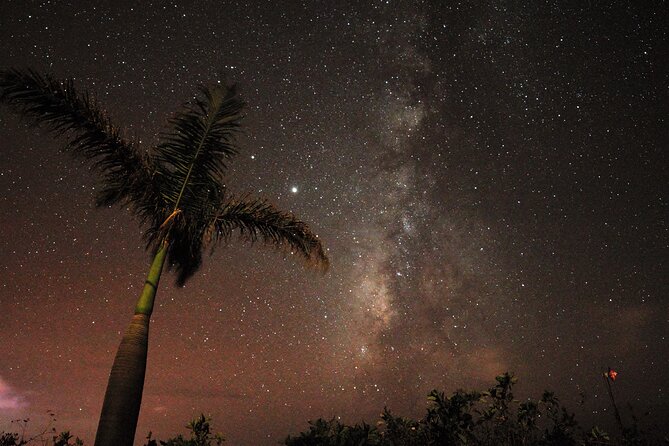Stargazing on La Palma - What Makes This Tour Stand Out?