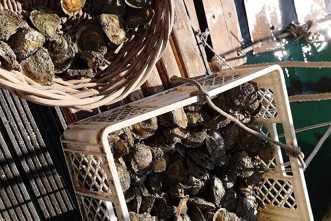 Ston Gastro Tour - A Deep Dive into the Experience