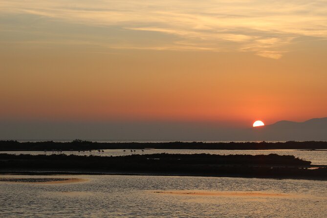 Sunset among flamingos in the Ebro Delta - Key Points
