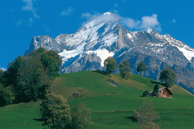 Swiss Alps: Interlaken and Grindelwald Day Trip from Zurich - Exploring the Itinerary and Stops