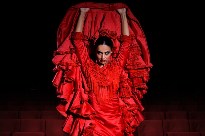 Ticket for Flamenco Show at Madrid Theater - What to Expect from the Flamenco Show