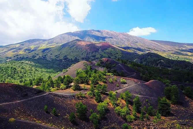Tour Etna & Wine Tasting Private - An In-Depth Look at the Mount Etna & Wine Tasting Private Tour