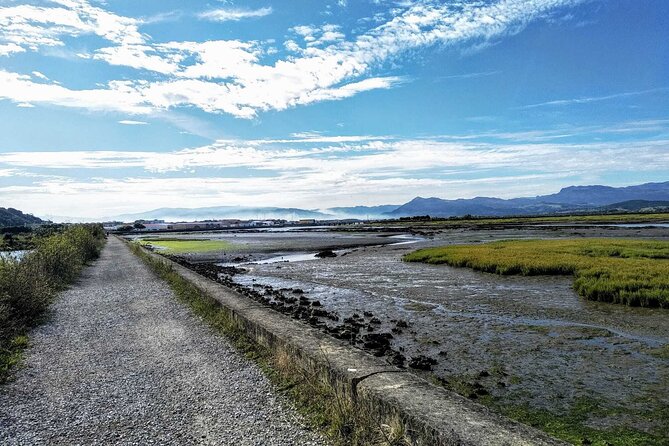 Tour to the Anchovies Factory and Santoña Marshes with Tasting - An Introduction to Santoña and Its Rich Coastal Environment