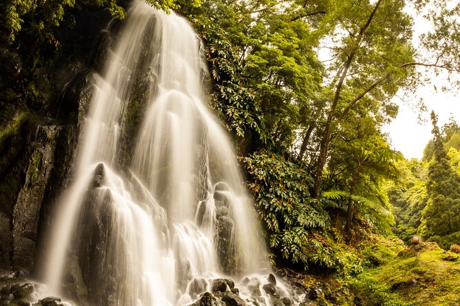 Van Tour Nordeste - Transportation, Group Size, and Overall Value