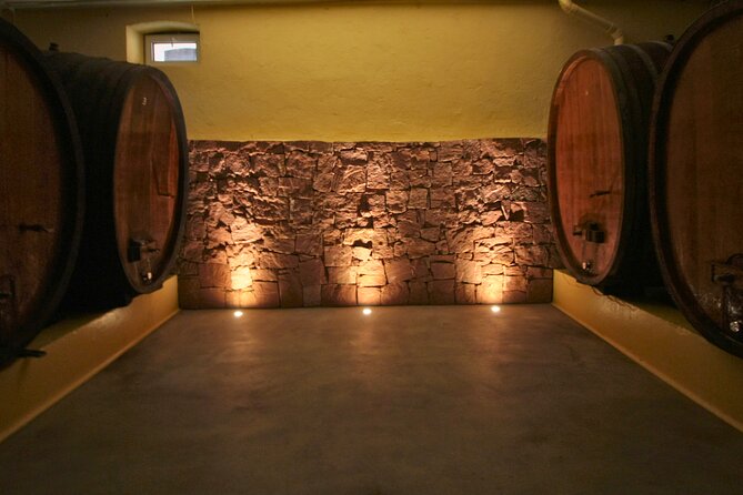 Visit and tasting of wines and cheese and charcuterie platter - A Closer Look at the Experience