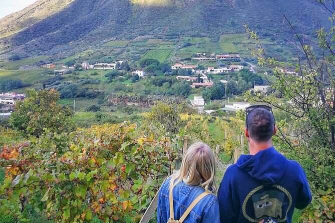 Walk through vineyards, breathtaking views and flavors of Salina - Tasting Local Wines and Flavors