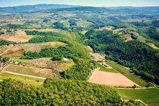 Wine Tasting by CarusVini in San Casciano in val di Pesa - Practical Details