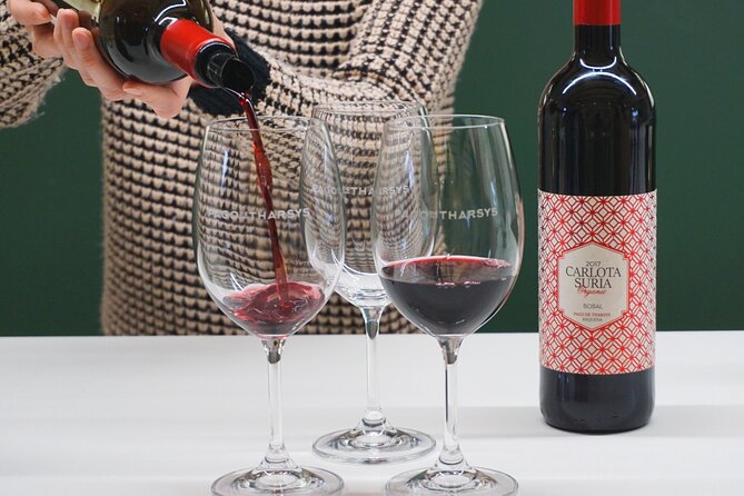 Wine tasting tour - A Deep Dive Into the Valencia Wine Tasting Tour