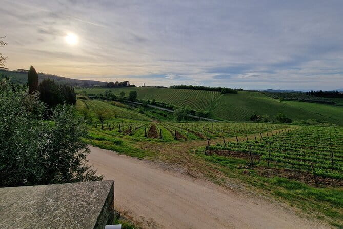 Wine Tour 6 hours 2 top wineries of Chianti Classico Limo Service - Key Points