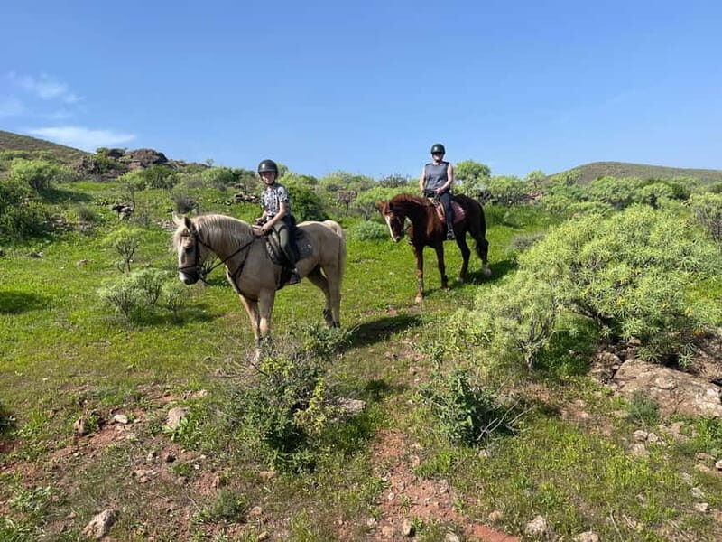 2 hours Green Mountains Horse Riding Tour