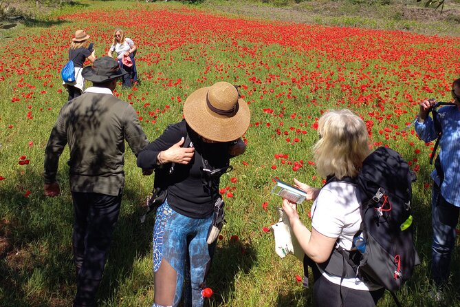 1 Day Pilgrimage Experience to Fátima - Value for Money: Balancing Cost and Experience