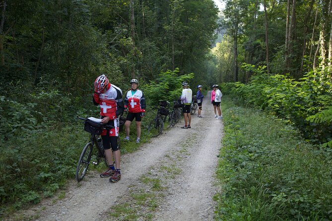 11-Day Private Lite Tour Across Switzerland by Bike from Geneve
