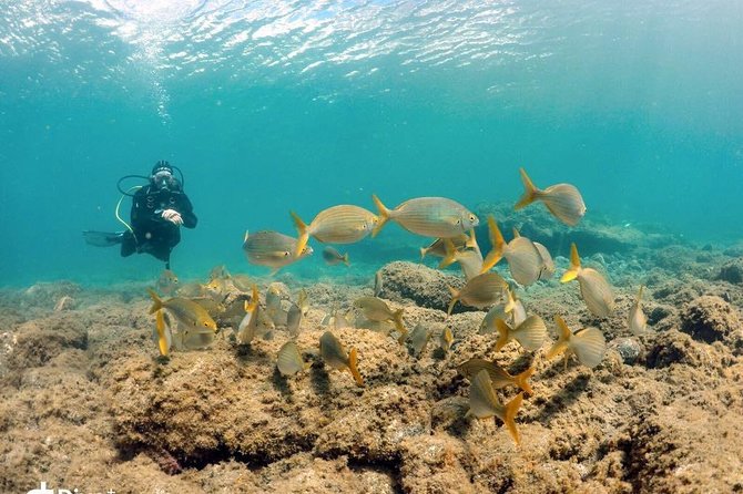 2 Dive Package for Qualified Divers in Gran Canaria - The Experience in Practice