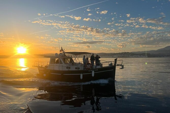 2-hour excursion in search of dolphins/drinks and snacks
