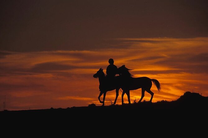 2 Hours Horse Riding Safari in Cappadocia ( Transfer Include )