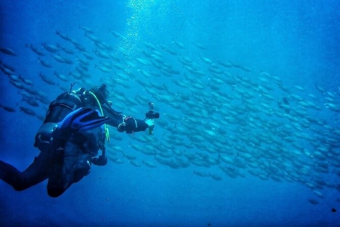 3-Hour Try Scuba Private Guided Sea Baptism from Palermo