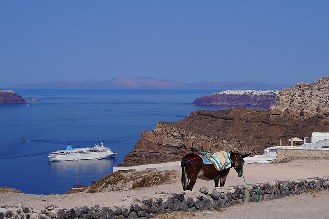 5 Day to Syros, Santorini a Cycladic Architecture Tour - Final Thoughts