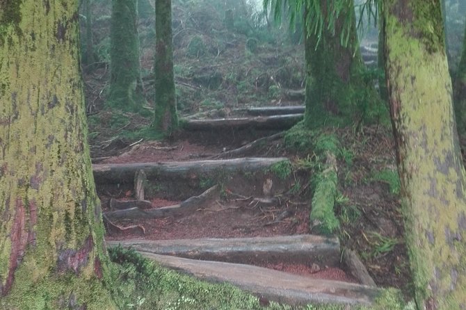 7 Cidades lake Fire lake Van tour - What Might Be a Drawback