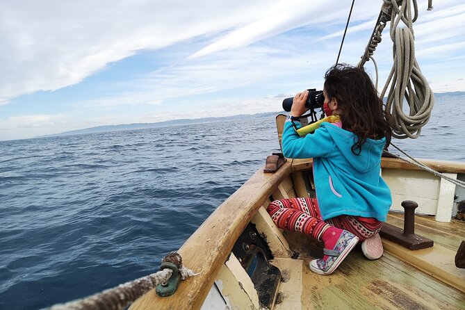 8-Hour Whale Watching in Barcelona - Setting Sail from Barcelona