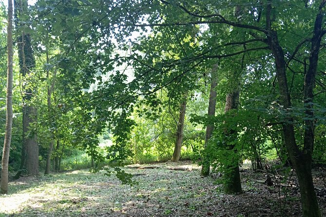 Alba Truffle Hunting, Barolo and Barbaresco Tasting