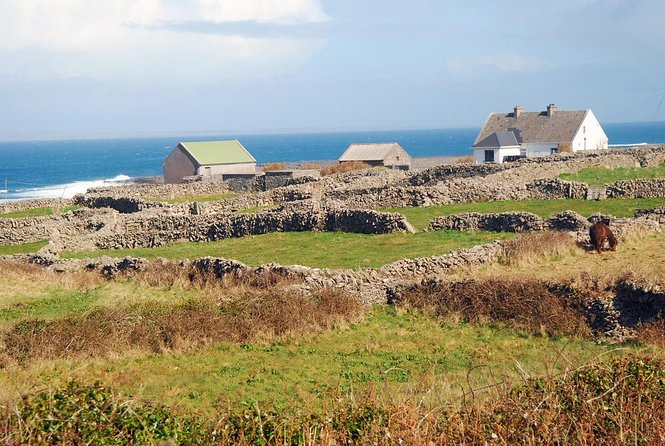 Aran Islands Bike Tour with Tea & Scones - Day Trip to Inisheer from Doolin