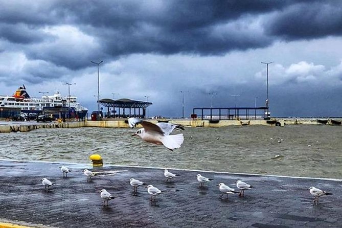 Athens-Rafina Port (Rafina Port-Athens) - Who Is This Tour Best For?