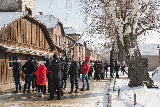 Auschwitz-Birkenau and Wieliczka Salt Mine Full Day Tour - Real Traveler Perspectives