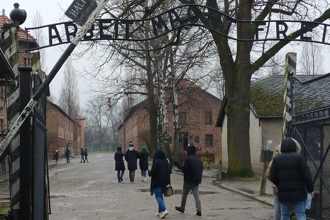 Auschwitz Museum and Salt Mine Tour with Private Transport - Authentic Perspectives from Travelers