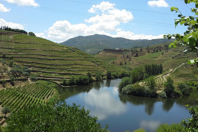 Authentic Douro Valley - small-Group Tour (Max 7) - An In-Depth Look at the Douro Valley Tour Experience