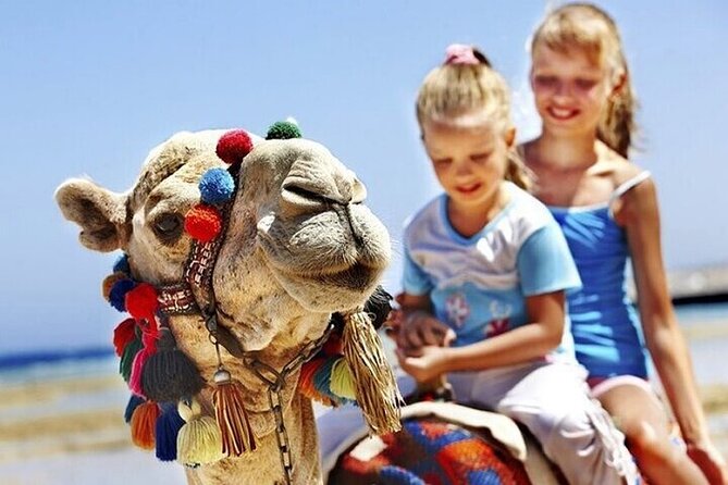 Authentic Private Tangier Tour from Marbella Camel Ride & Lunch