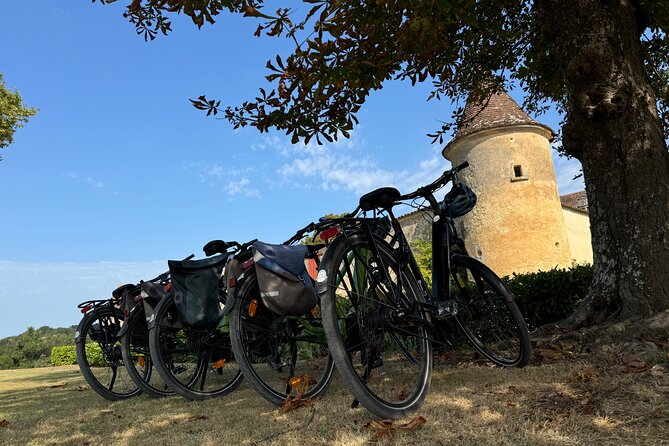 Backcountry E-Bike Adventure from Bordeaux: Wine Tasting & Lunch