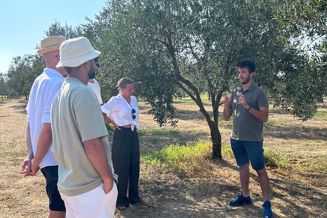 Balestrate Olive Grove Tour: Wine and Olive Oil Tasting