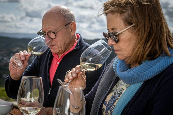 Barrel Tasting - Quinta de Santa Cristina Vinho Verde - The Barrel Tasting: A Rare Opportunity