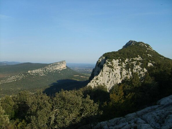 Bertrand Bosc wine and food tour in Pic St Loup