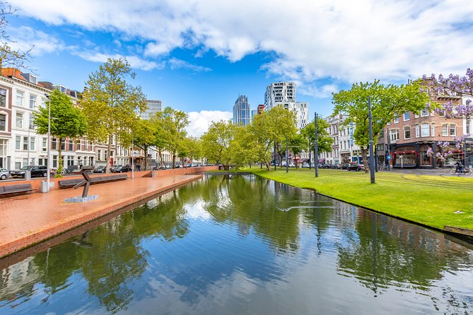 Best Intro Tour of Rotterdam with a Local - The Experience and Value