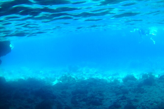 Boat tour Excursion from Trapani to Favignana and Levanzo 8 hours - The Itinerary in Detail: What to Expect