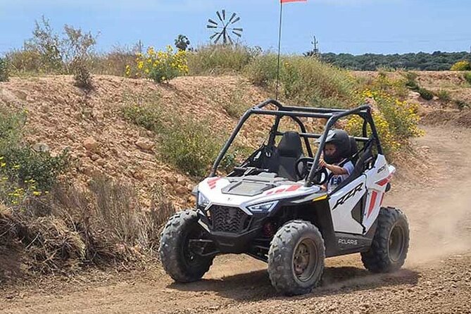 Buggy for children in Mallorca - Who Will Love This Experience?
