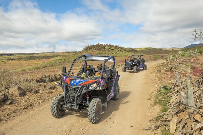 Buggy tour at Anfi beach - The Sum Up
