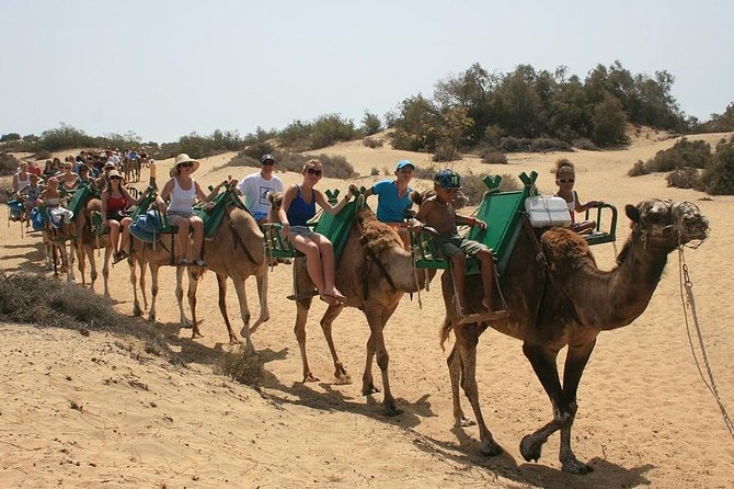 Camel Riding in Maspalomas Dunes - What’s Included and What’s Not