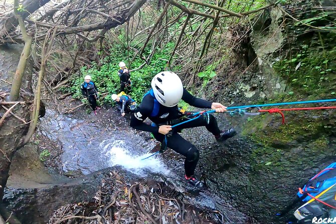 Canyoning in Rainforest: The hidden waterfalls of Gran Canaria - The Practical Details: Value and Considerations