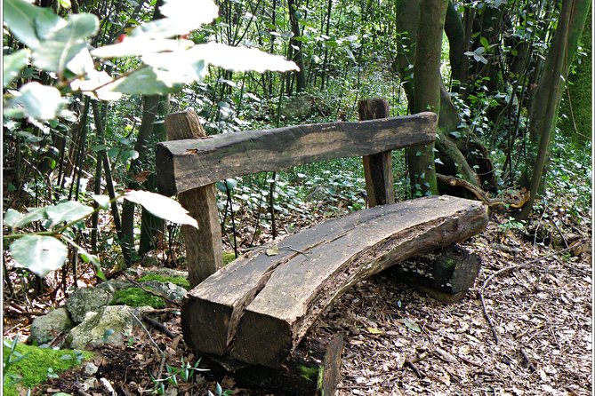 Cavtat & Konavle District Half Day Private Tour - Practical Details: Transportation, Timing, and Value